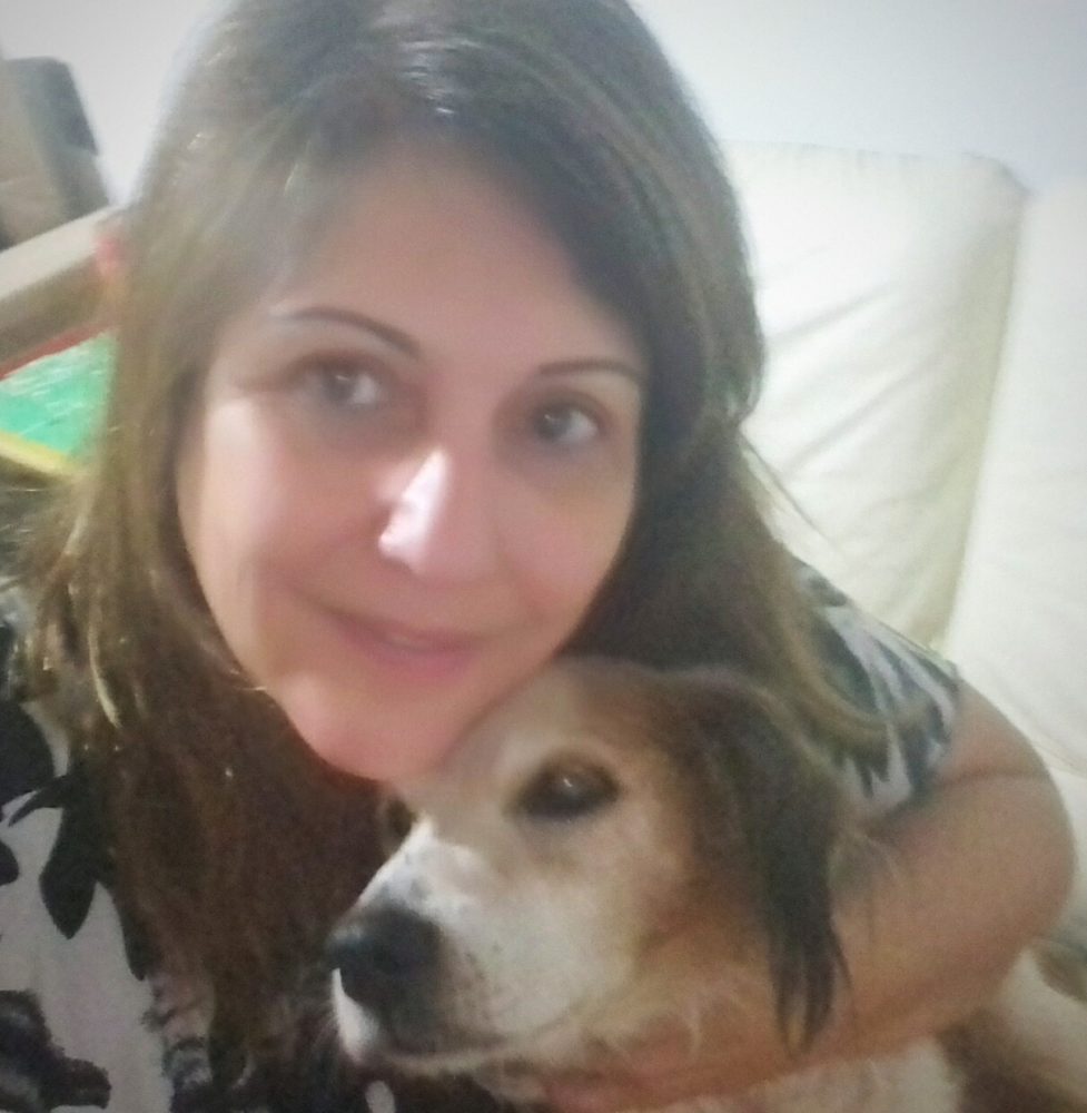 kiko - Portal do Dog