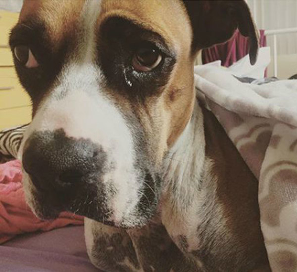 4 doenças que têm o excesso de remela como um de seus sintomas - Portal ...