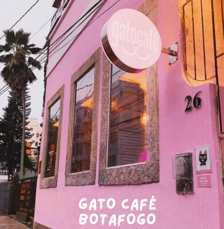 Gato, Café e Conexão: Conheça a Tendência dos Cat Cafés